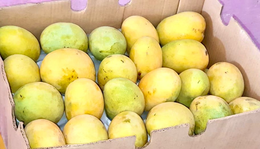 How To Make Your Mango Season Last Long? — The Farmette