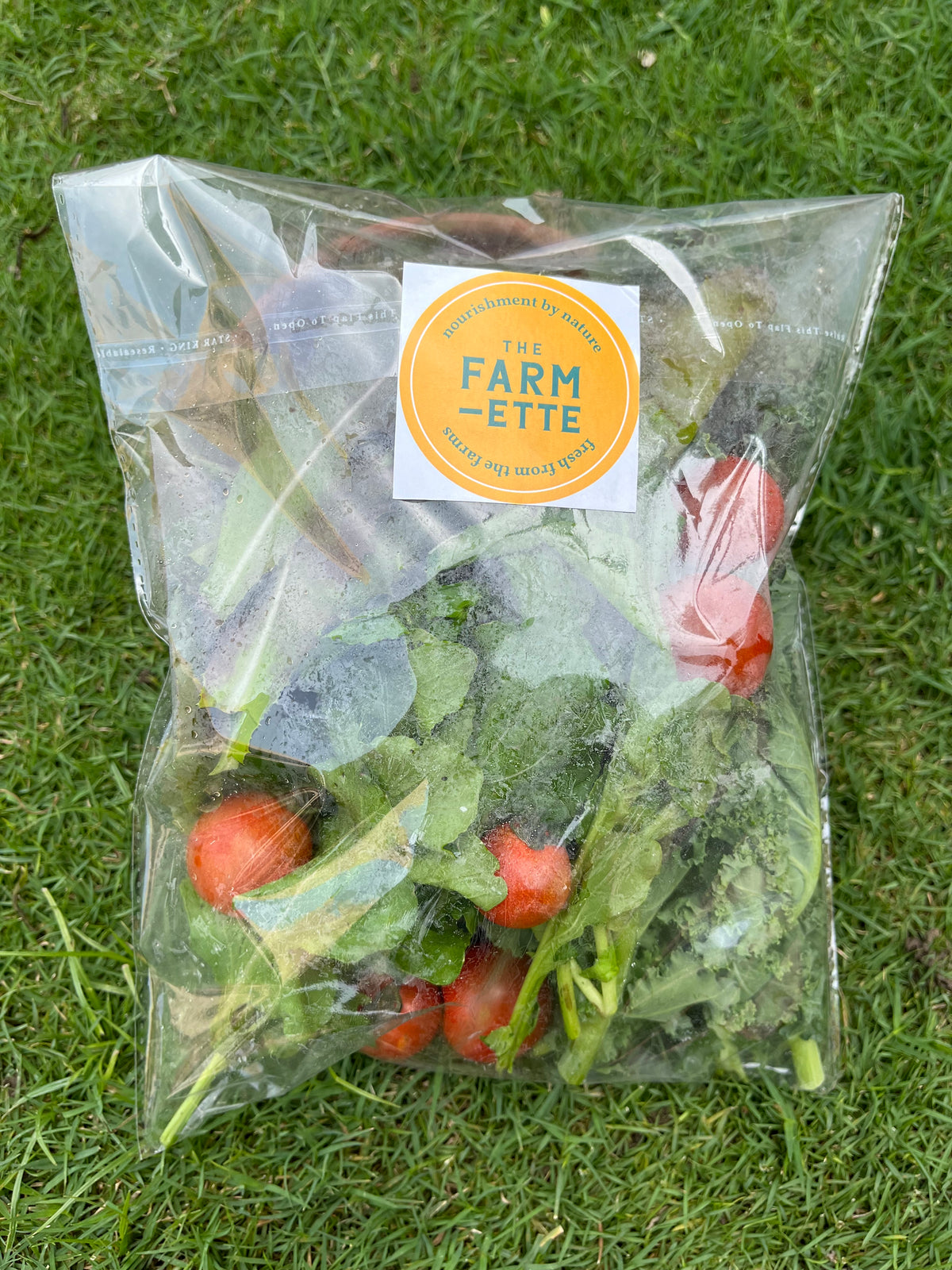 Salad mix pack 120g(kale, rocket, lettuce)- Iceberg lettuce | Farmette ...