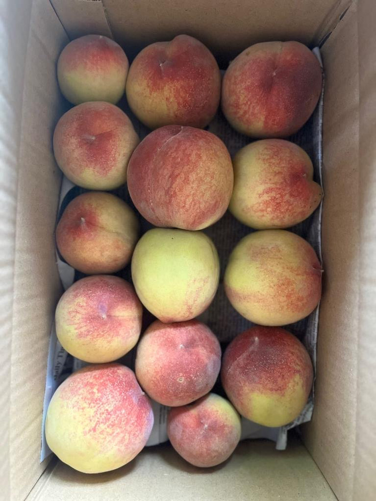 Best Peaches | Buy Peaches Online | Quality Peaches - Peaches Supplier ...