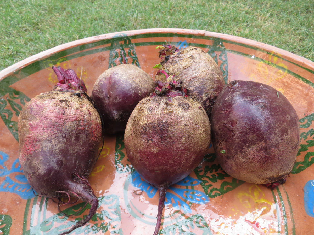 Farm Fresh Beetroot - Antioxidant-Rich and Flavorful — The Farmette