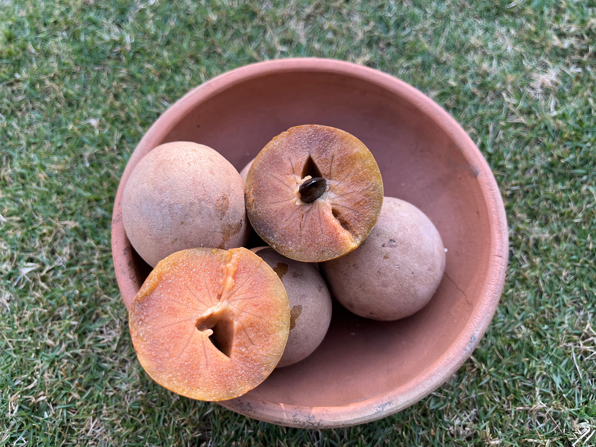 Buy Farm Fresh Chiku Online at The Farmette in Lahore | Benefits