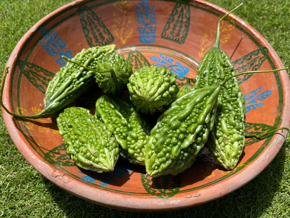 Desi karela 1kg — The Farmette