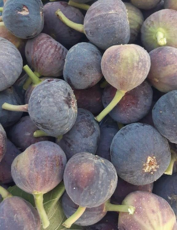 Fresh Figs 500g- approx. 15 pieces(Pre-bookings) — The Farmette