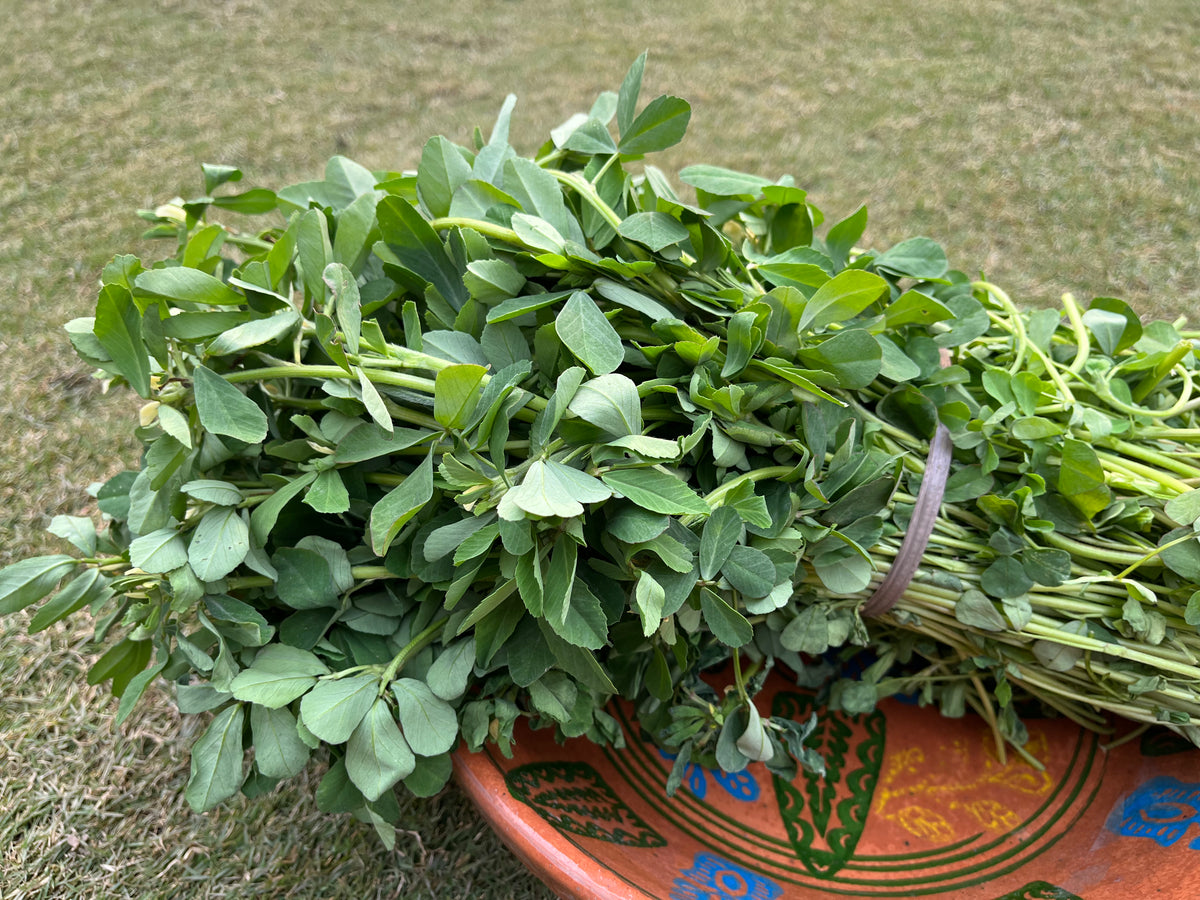 Methi (bunch) — The Farmette