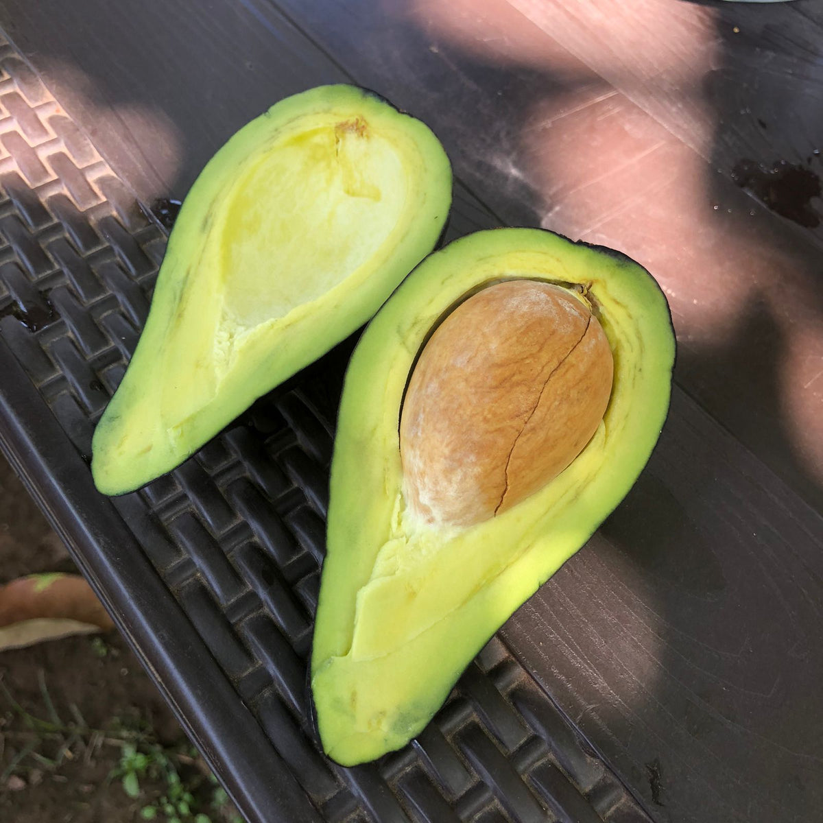 Local Avocado 500g (2-3 pieces) pre-book — The Farmette