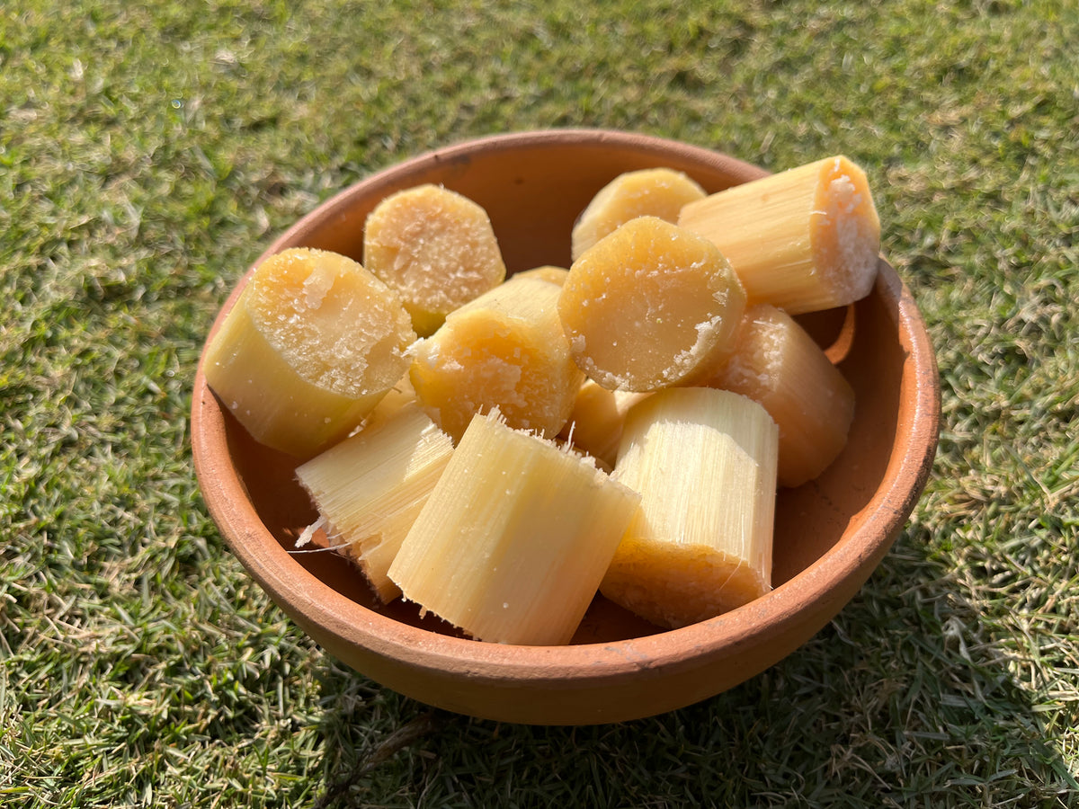 Sweet and Nutritious Sugarcane Bites Straight from the Farmette in ...
