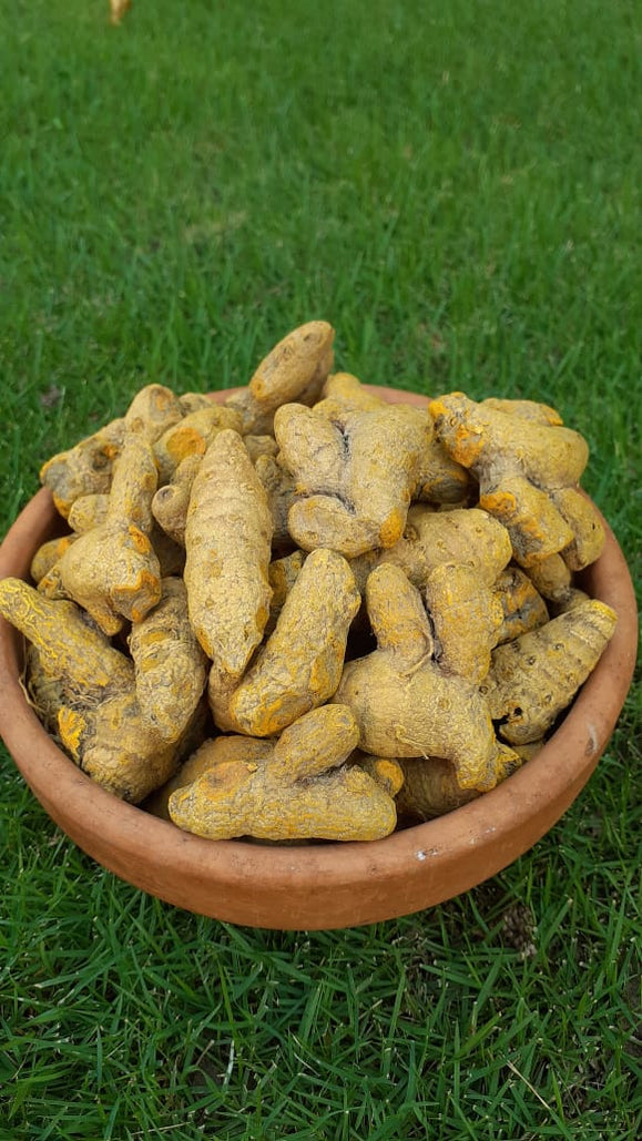 Dried Turmeric Root 500g (100% pure) — The Farmette